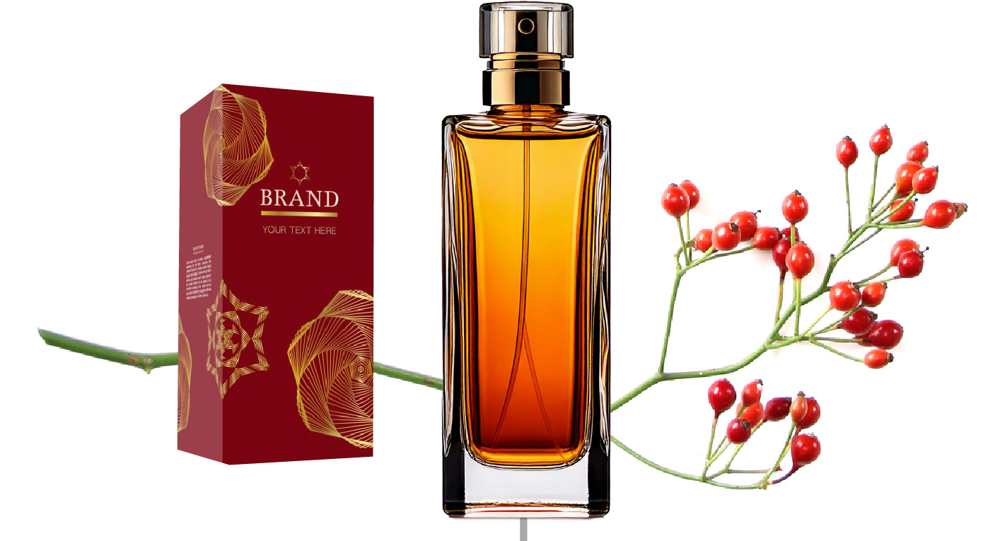 Regulatory Support - Ithos